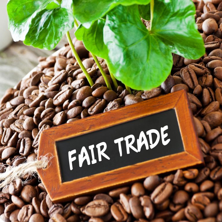 Fair trade, the history and controversies - Torrefazione Mokaflor Firenze
