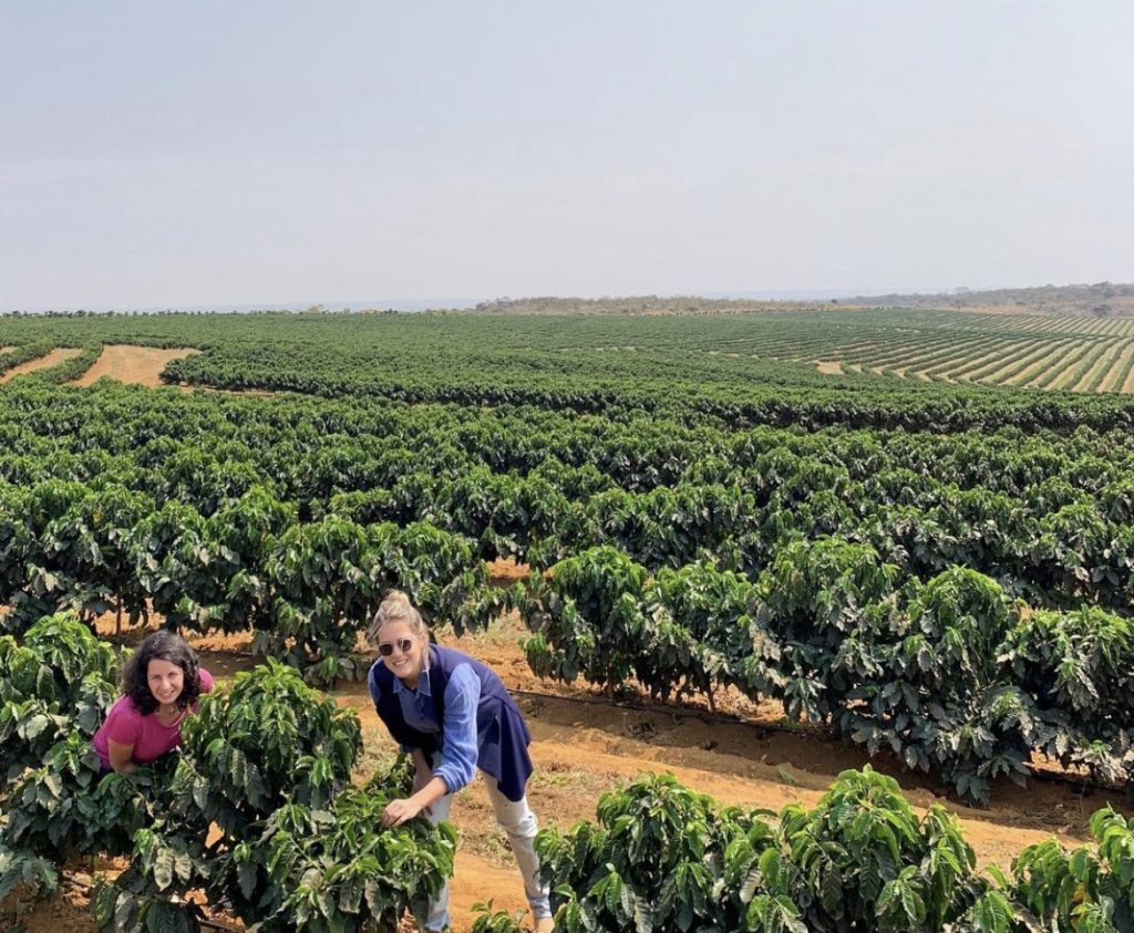 A trip to Brazil, looking for the best coffees! - Torrefazione Mokaflor ...