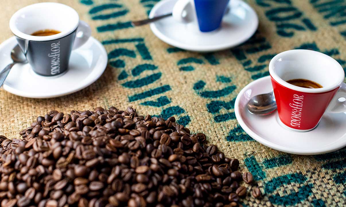 The Main Coffee Defects - Torrefazione Mokaflor Firenze